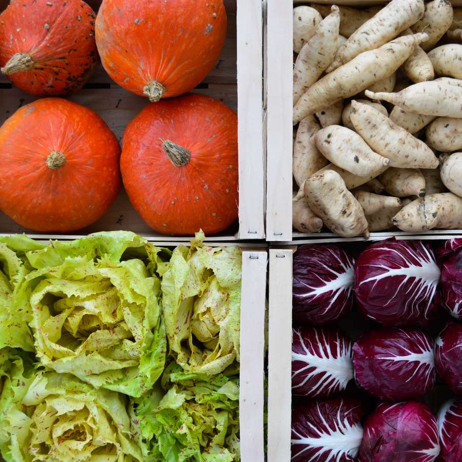 El Tamiso, Padua (I) | Öpfelchasper, der Bio-Velokurier